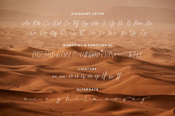 Findream, Fonts | GraphicRiver