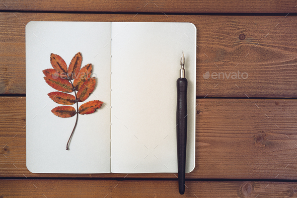 Autumn background template with notepad, blank pages of notepad ...