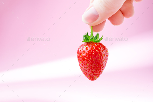 A woman holds in her hand one strawberry on a pastel pink pop ...