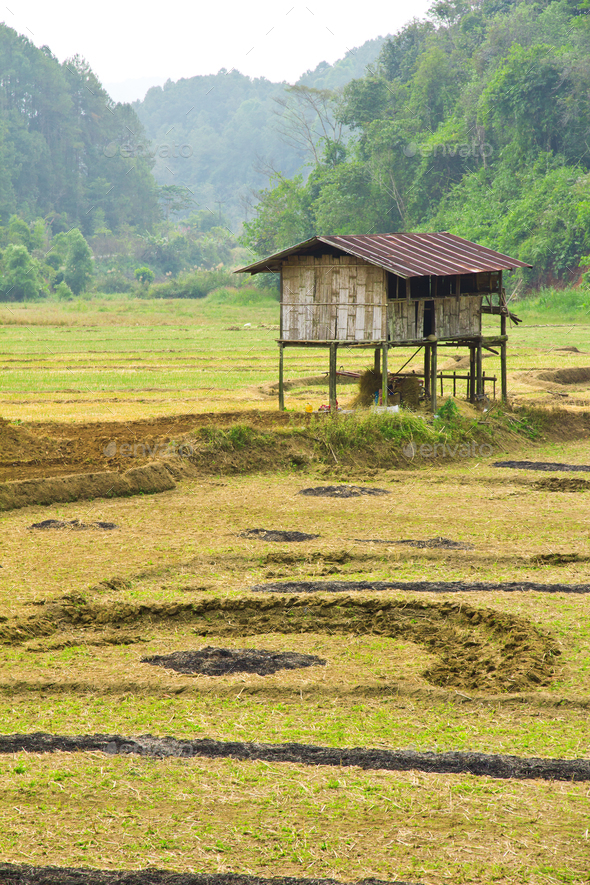 Traditional farming Stock Photo by osbmxhouse | PhotoDune