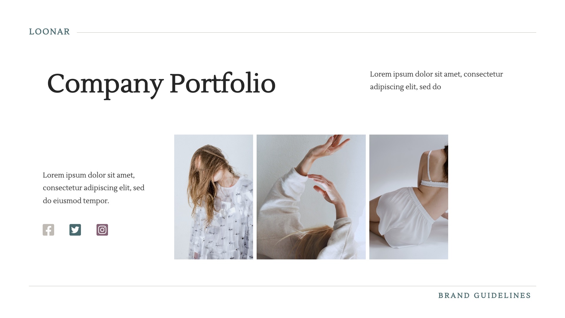 Loonar - Brand Guidelines Presentation PowerPoint, Presentation Templates