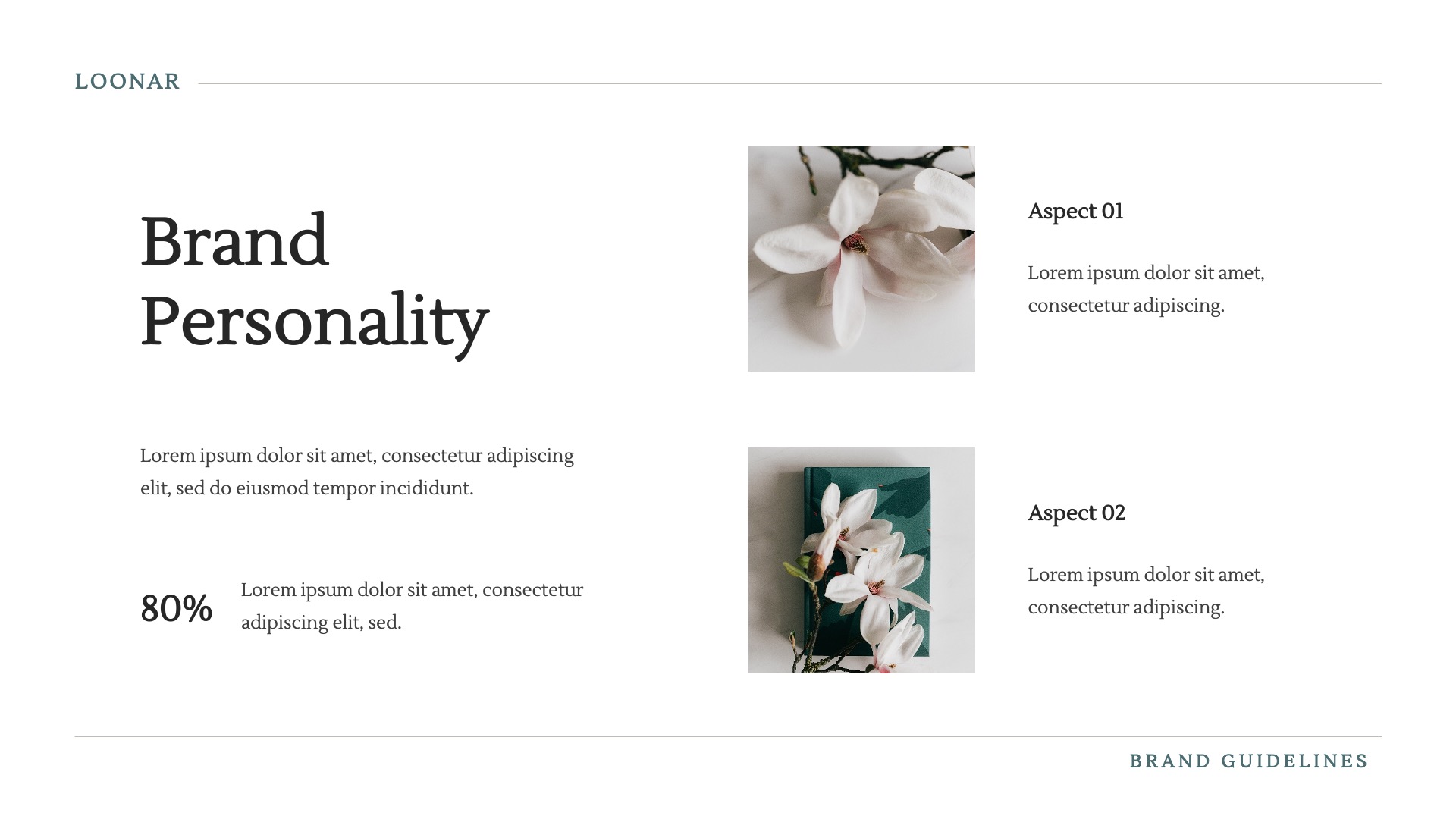 Loonar - Brand Guidelines Presentation Keynote, Presentation Templates