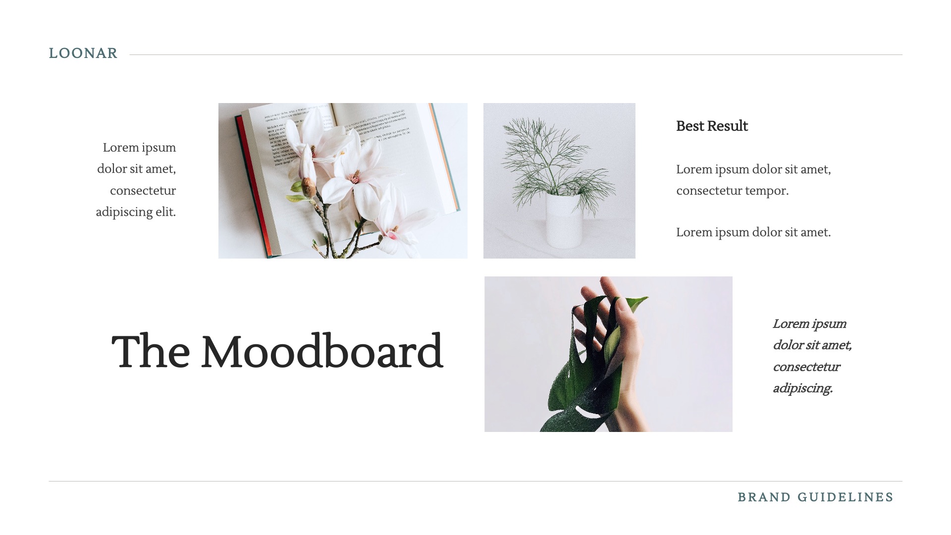 Loonar - Brand Guidelines Presentation Keynote, Presentation Templates