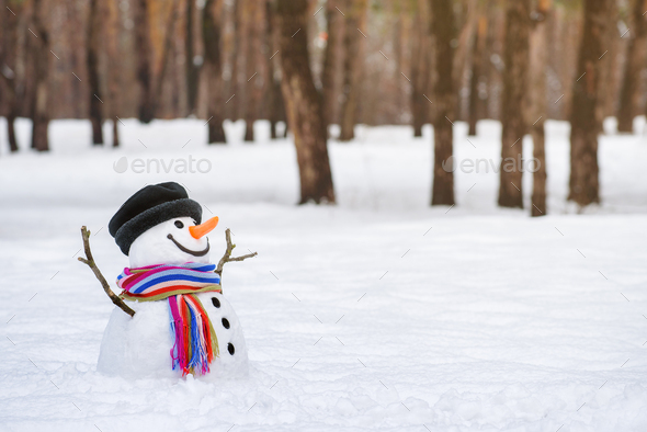 Winter wonderland with a funny snowman Stock Photo by Kotenko | PhotoDune