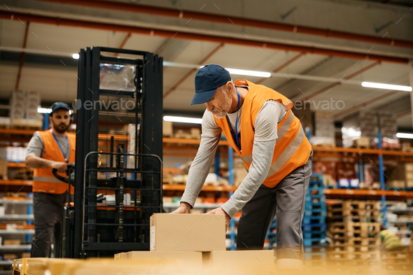 Mature worker stacking cardboard boxes while working with coworker at ...