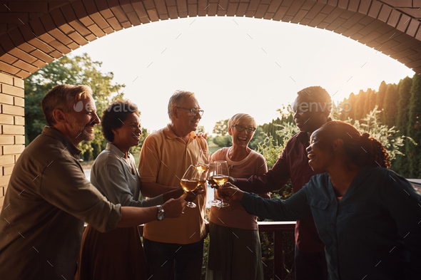 Cheerful multiethnic people toasting during family gathering on patio ...