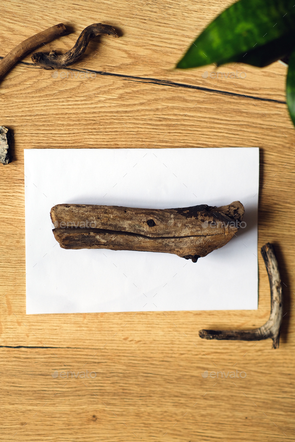 An isolated piece of wood in the shape of a whale. Natural material for ...
