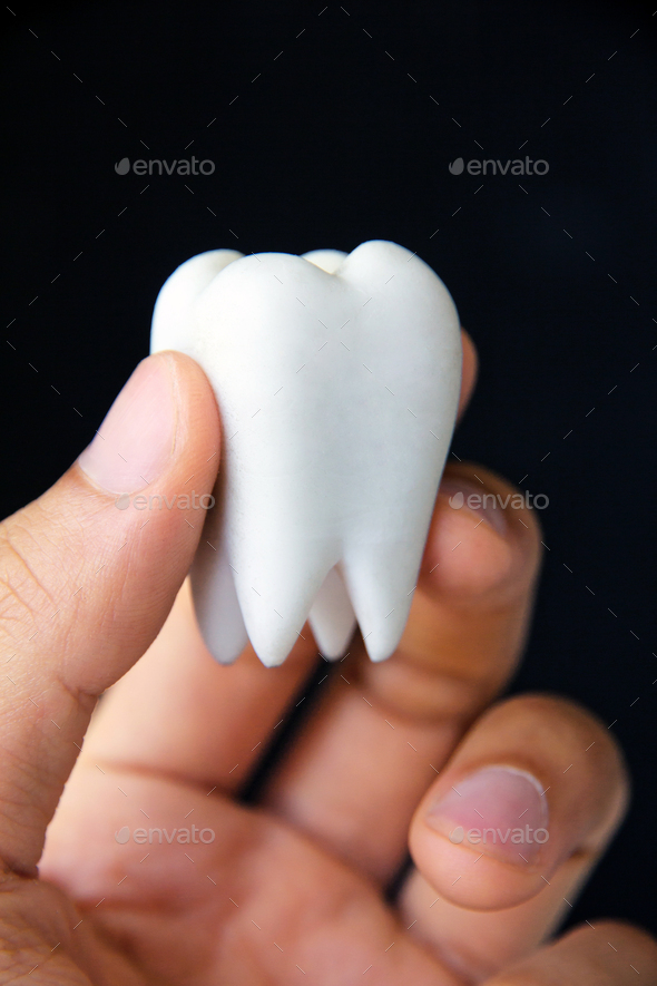 Hand holding molar Stock Photo by osbmxhouse | PhotoDune