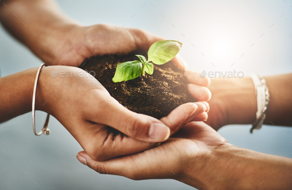 Work together, grow together Stock Photo by YuriArcursPeopleimages