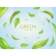 Green Leaves Fresh Realistic Leaf Round Frame, Vectors | GraphicRiver