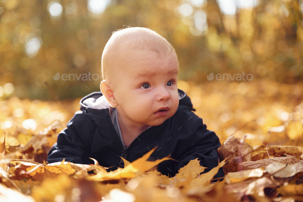 Cute little baby is lying down on the ground with fallen leaves on it ...