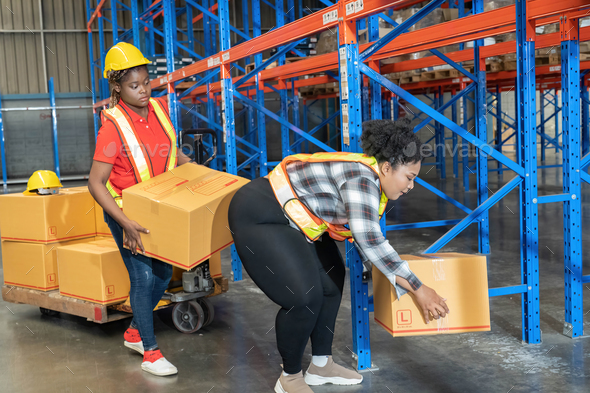 Diverse overweight worker in warehouse together lift up box from manual ...