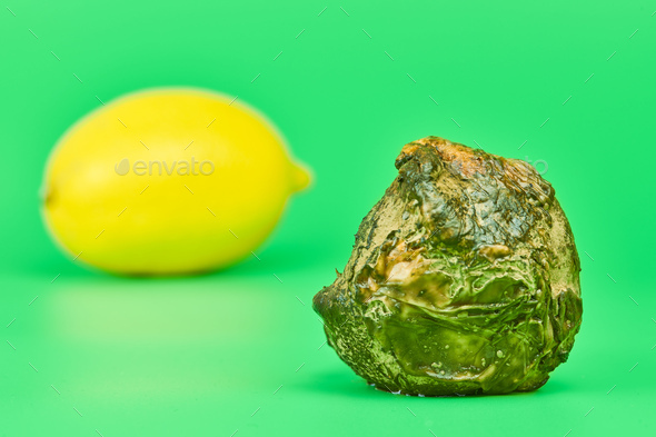 Rotten lemon and fresh lemon compare, green background Stock Photo by ...