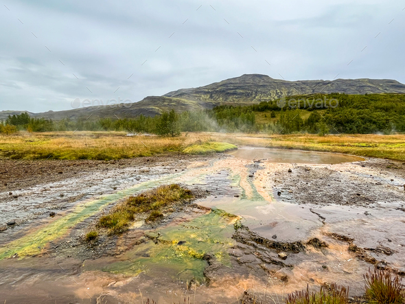 Geothermal area in Iceland. Strokkur geyser in Golden Circle, fumaroles ...