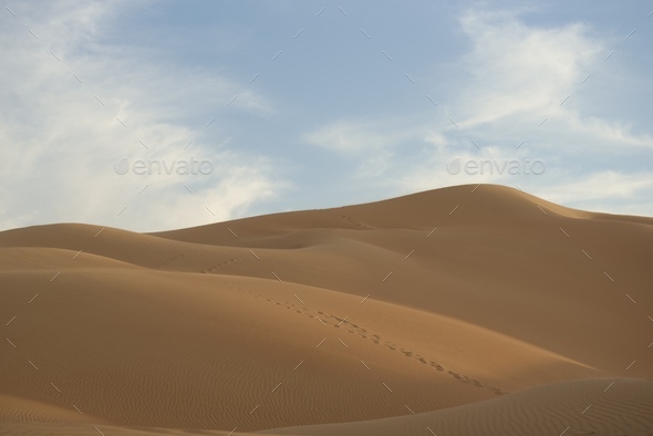 Arid desert wilderness scenic sand dune beauty landscape sandscape ...