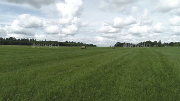 Green juicy fields with haystacks. Shot. Beautiful twisted haystacks on ...