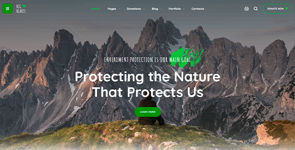 BigHearts - Charity & Donation WordPress Theme by WebGeniusLab ...