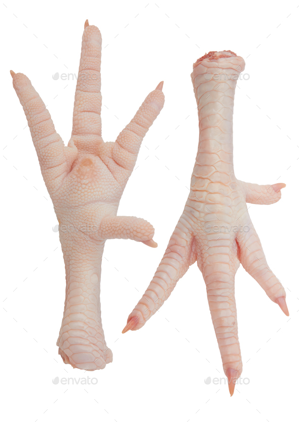 Raw chicken feet Stock Photo by pioneer111 | PhotoDune