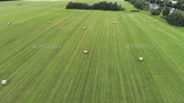 Top view of green cleared field with haystacks. Shot. Large green field ...
