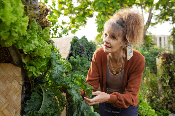 Growing lots of vegetables in narrow spaces in a limited backyard ...