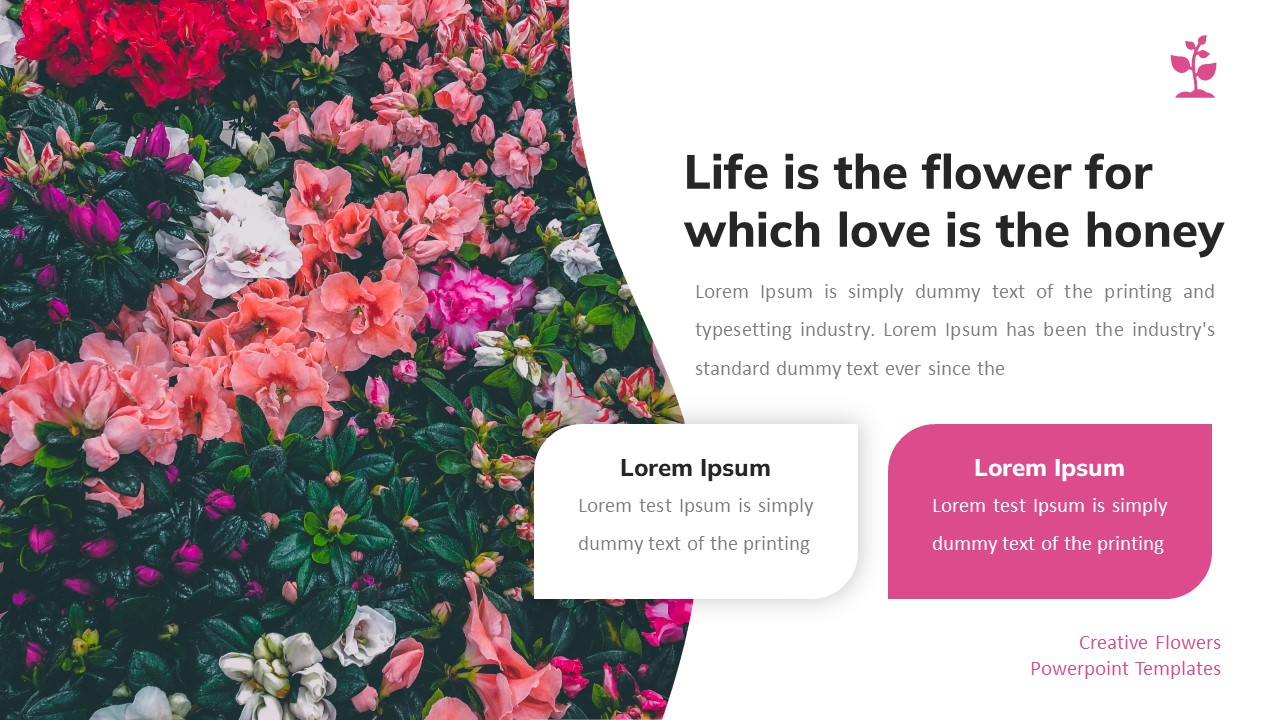 Merona - Creative Flowers Google Slides Template, Presentation Templates