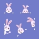 Hiding Rabbits, Vectors | GraphicRiver