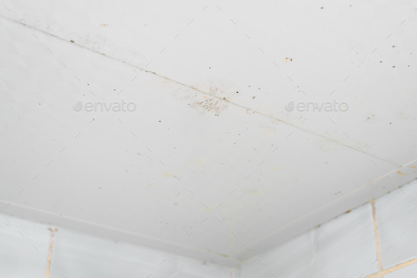 Dark dirty stains, bacteria and fungus on the white plastic ceiling ...