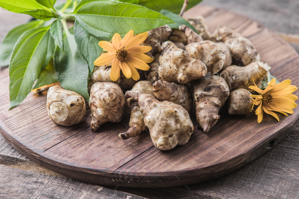Jerusalem artichoke tubers. Freshly harvested roots sunchoke ...