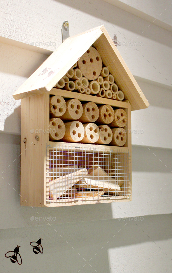 Wooden bee house to attract bees and insects Stock Photo by iheartcreative