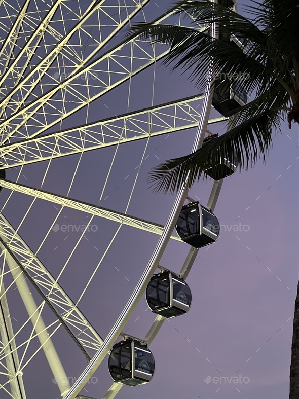 Ferris wheel in the park at the Downtown Miami at sunset Stock Photo by ...