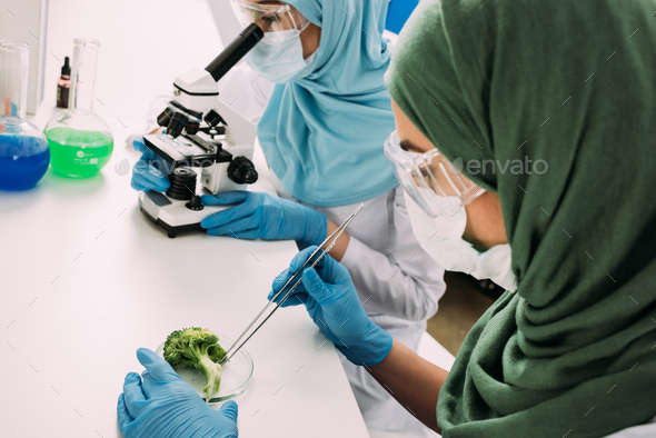 female muslim scientists looking through microscope and taking sample ...