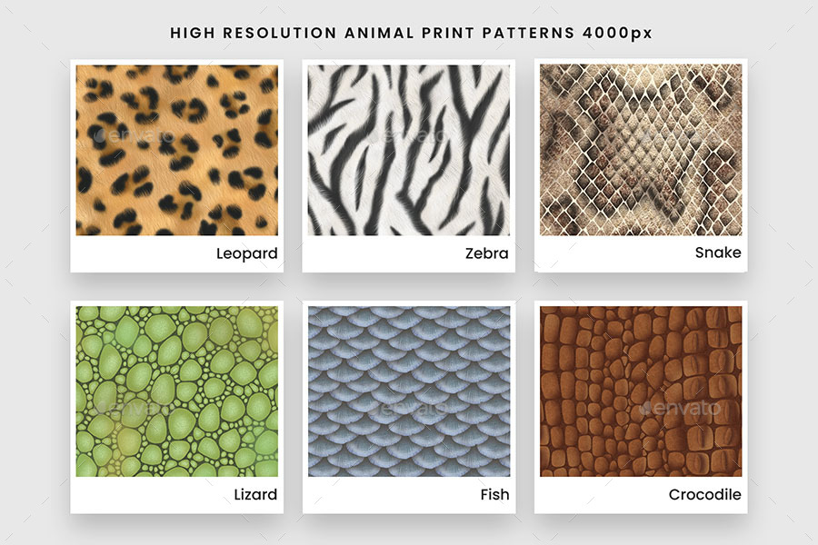 Animal Patterns, Graphics | GraphicRiver