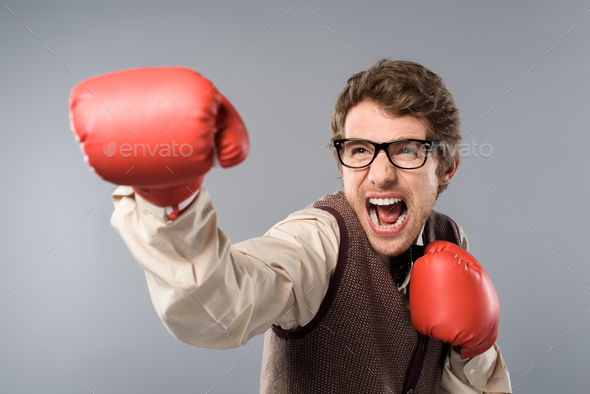 angry man in glasses and boxing gloves screaming on grey background ...