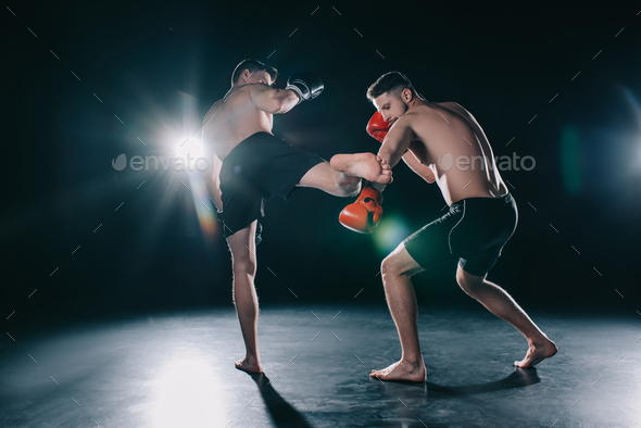 strong mma fighter kicking another sportsman with leg in arm Stock ...
