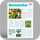 Football Sport Newsletter, Print Templates | GraphicRiver