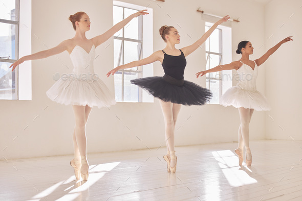 Diversity women in ballet dance collaboration, art school team ...