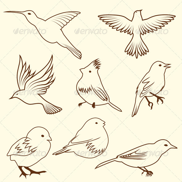 Set of Different Bird Sketches by angelp | GraphicRiver