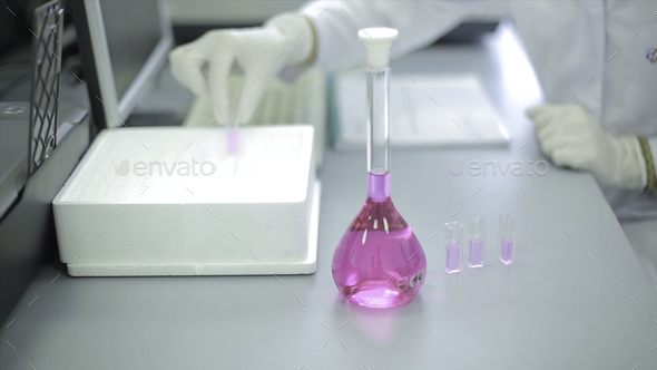 Young female laboratory technician examining a conical glass Erlenmeyer ...