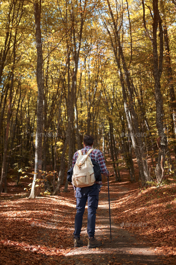 Caucasian male model outdoors in nature. Stock Photo by seleznev_photos