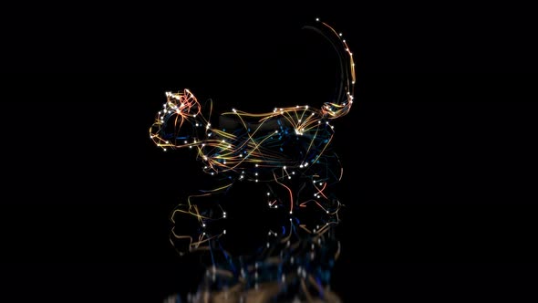 4K abstract art of a walking cat, Motion Graphics | VideoHive