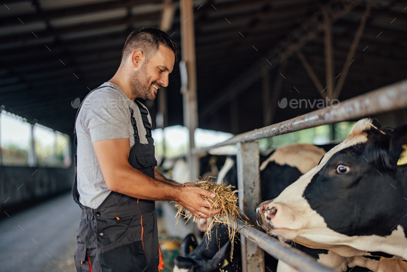 Adult man, giving food to animals. Stock Photo by bnenin | PhotoDune