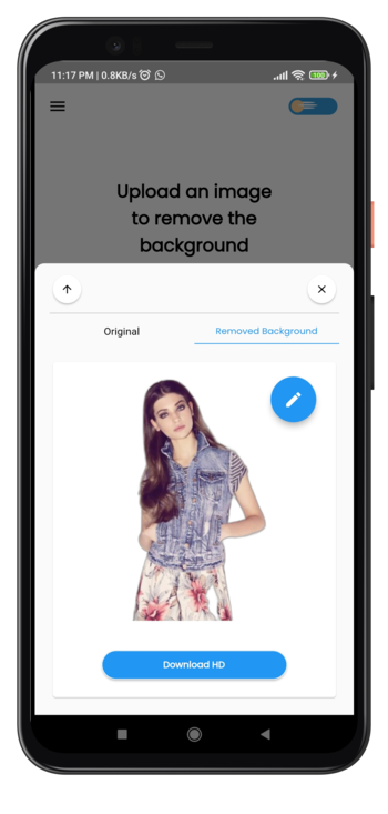 RemBG – Background Remover Flutter + WEB version + AdminPanel SUBSCRIPTION WITH STRIPE by ...
