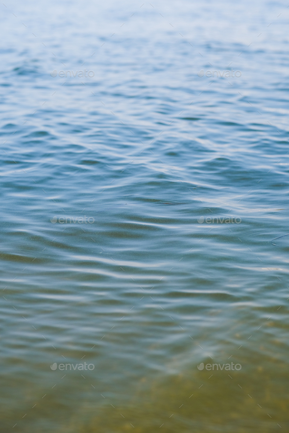 River water background. Clear fresh water with greenery. Water bloom in ...