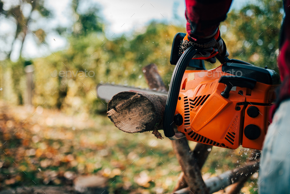 Cutting tree trunk with chainsaw, copy space. Stock Photo by bnenin