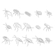 Cockroach Icons Set Vector Outline by Ylivdesign | GraphicRiver