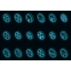 Telescopic Sight Icons Set Vector Neon, Vectors | GraphicRiver
