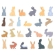 Rabbit Breeding Icons Set Cartoon Vector, Vectors | GraphicRiver