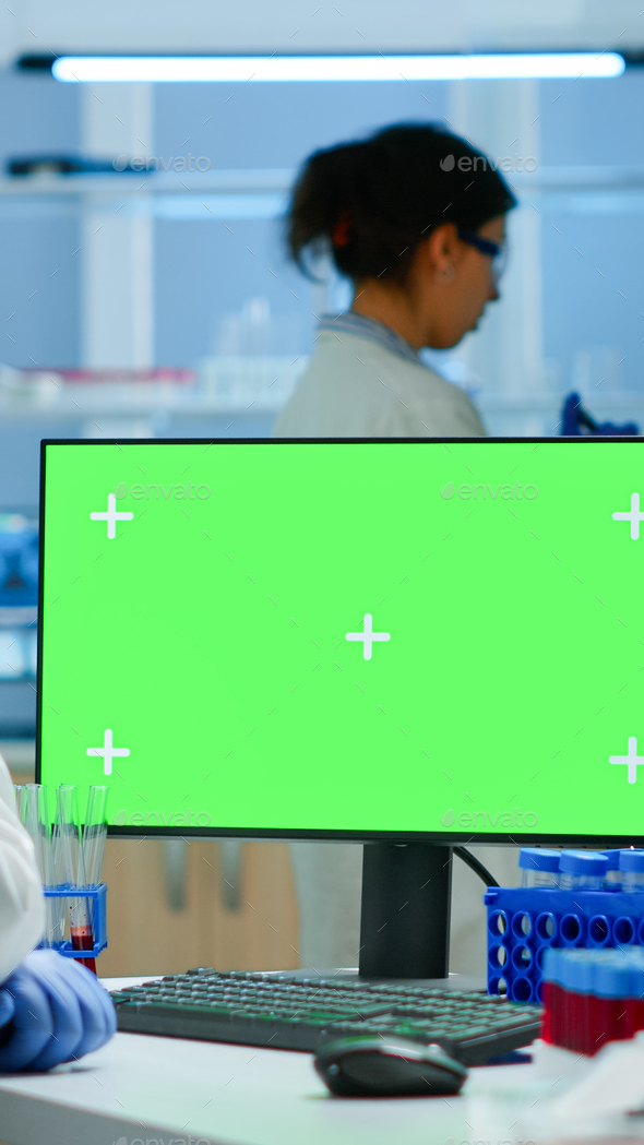 Researcher looking at chroma key display in modern equipped lab Stock ...