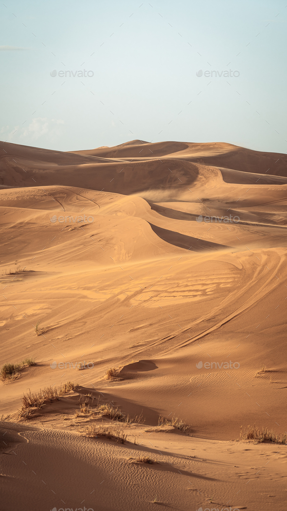 Sand texture in Morocco Sahara Merzouga Desert portrait oriented Stock ...