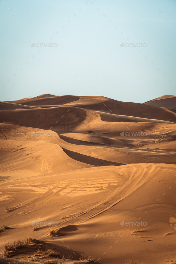 Sand texture in Morocco Sahara Merzouga Desert portrait oriented Stock ...